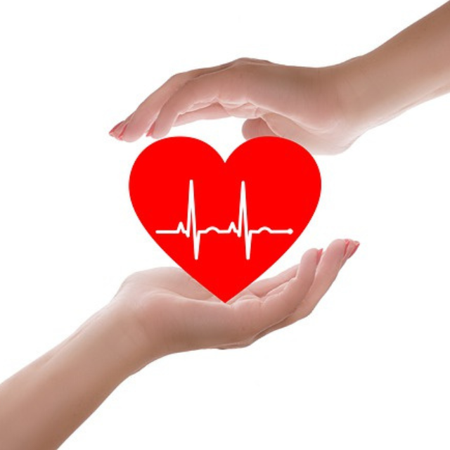 How To Receive Healing In Your Heart - A Transforming Word Ministries ...
